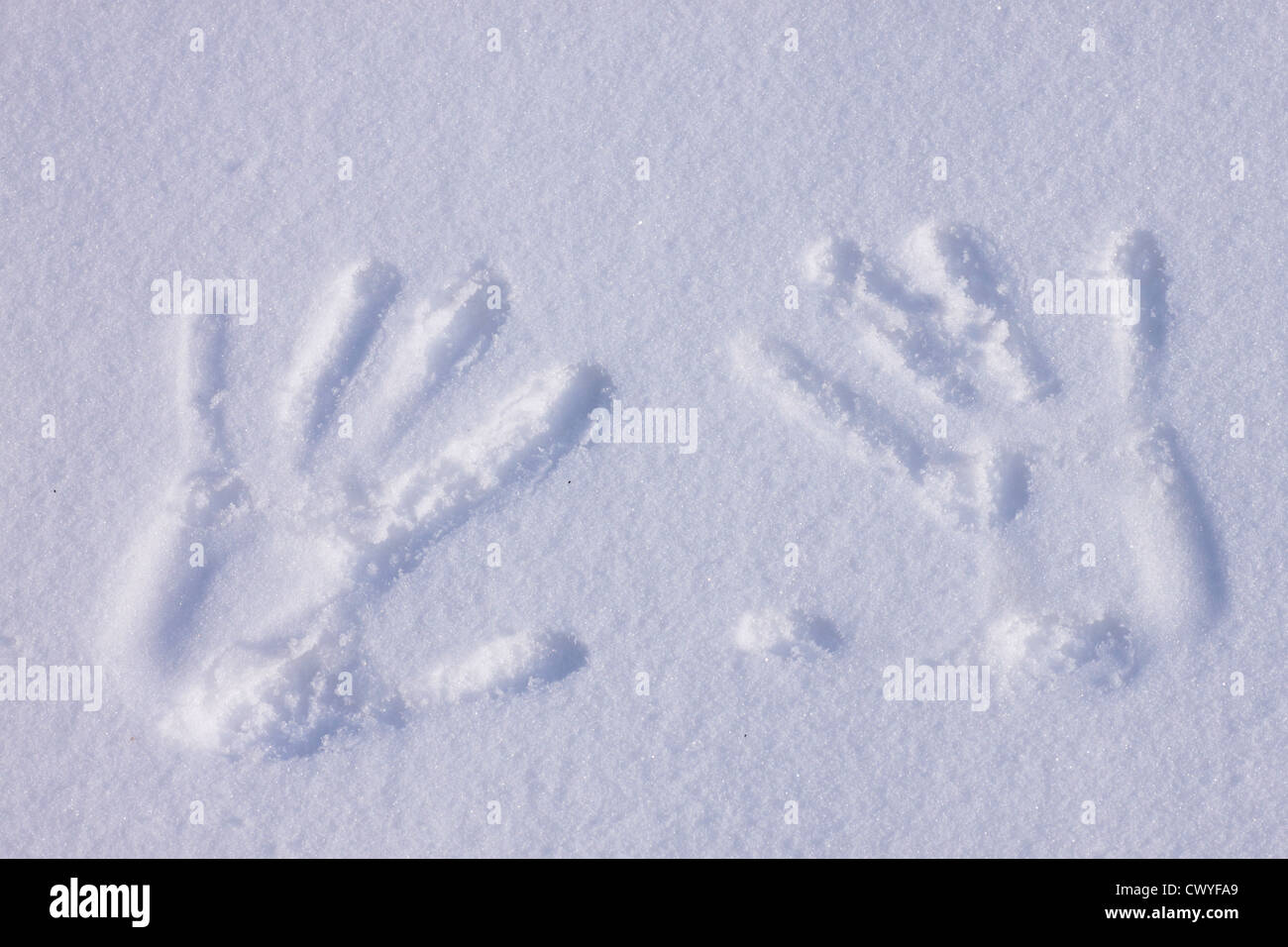 hand prints on a snow Stock Photo - Alamy