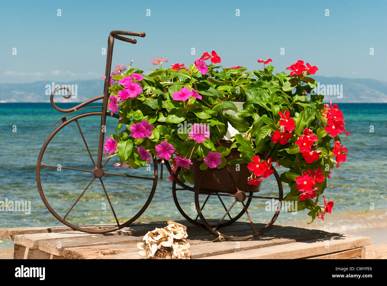 Wedding bouquet of roses on the beach Stock Photo - Alamy