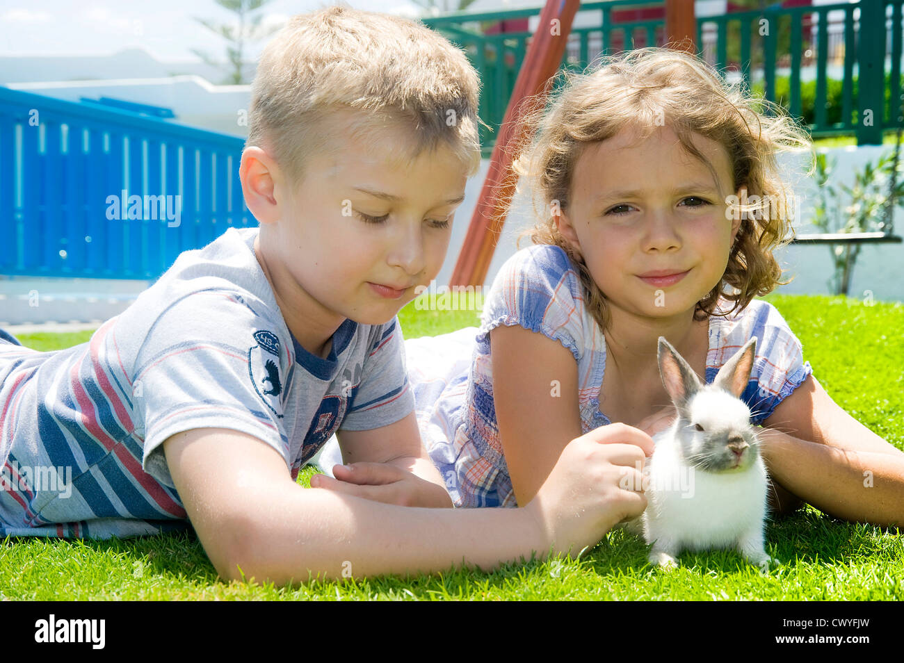 Landscape with a rabbit hi-res stock photography and images - Alamy