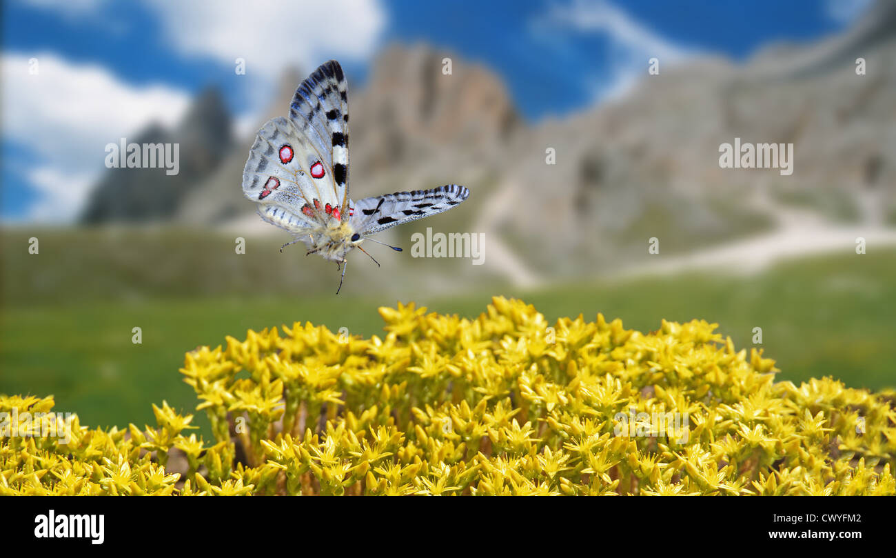 Foreground apollo hi-res stock photography and images - Alamy