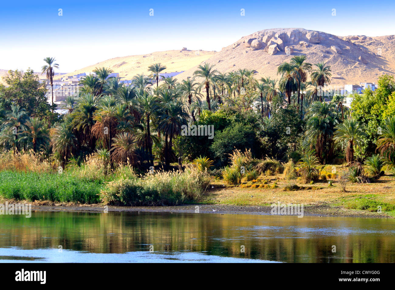 Desert aswan hi-res stock photography and images - Alamy