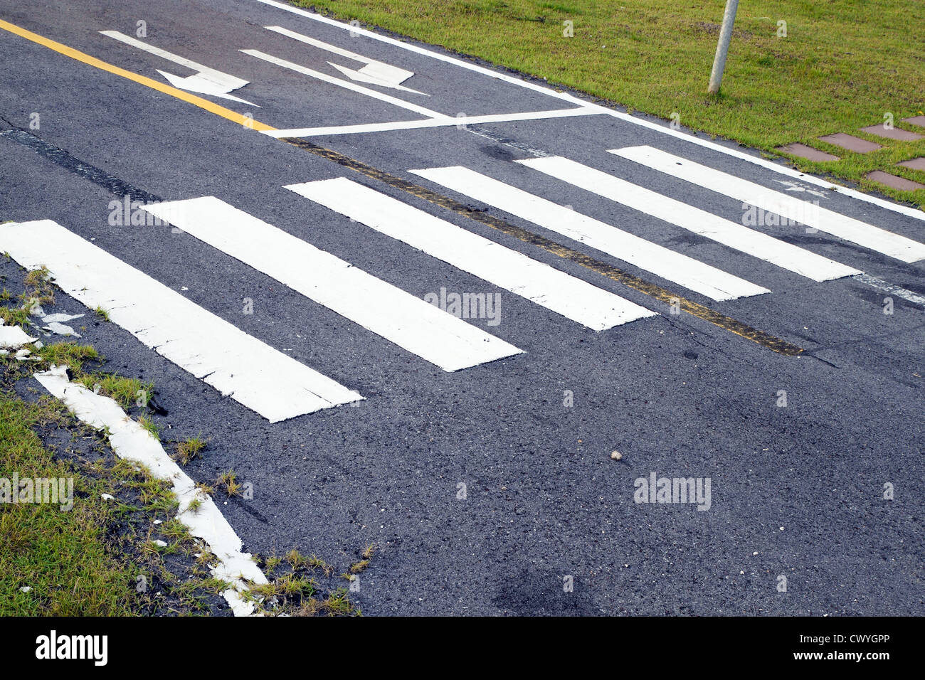 Zebra way hi-res stock photography and images - Alamy