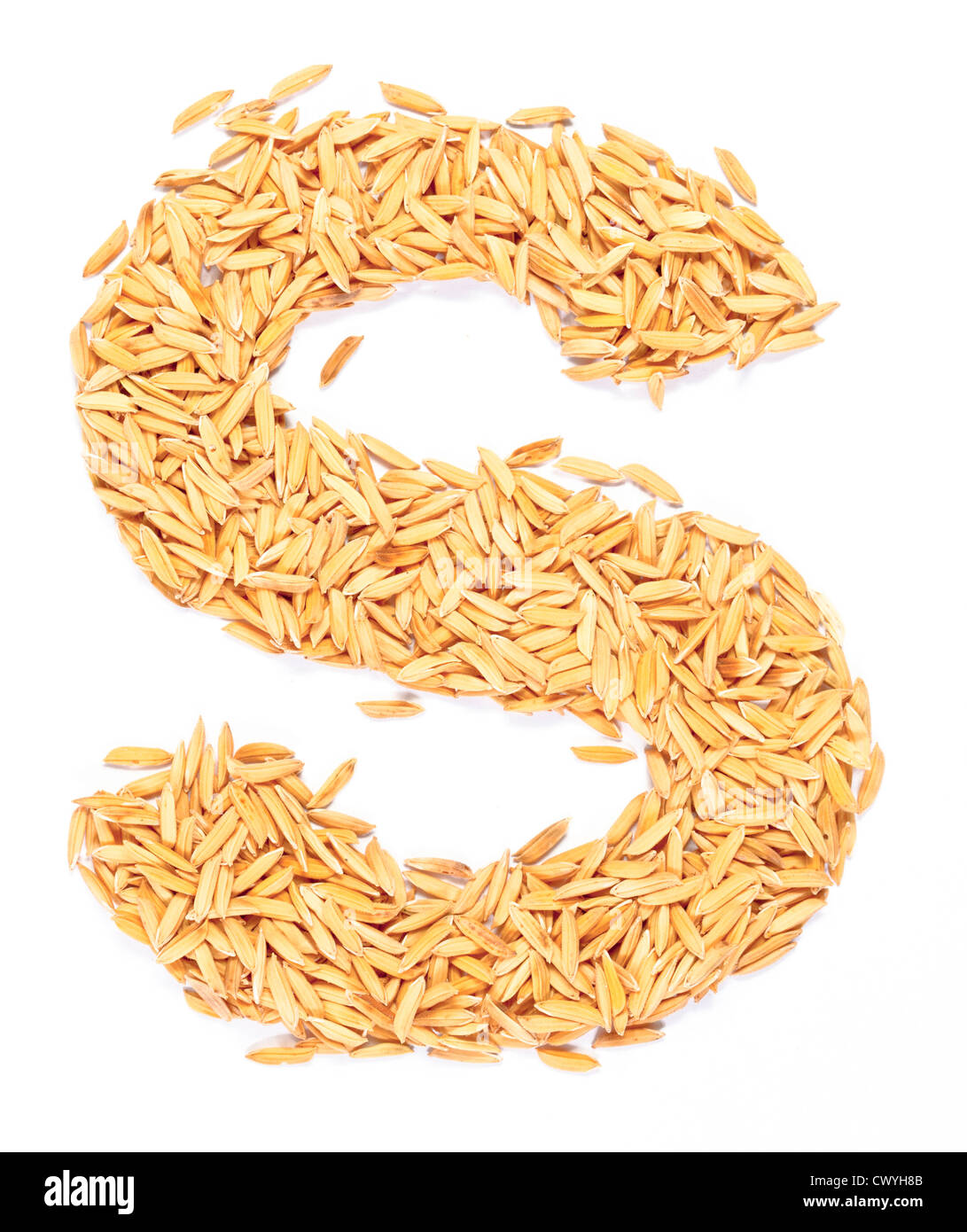 s, alphabet,Letter from Paddy rice on white Stock Photo - Alamy