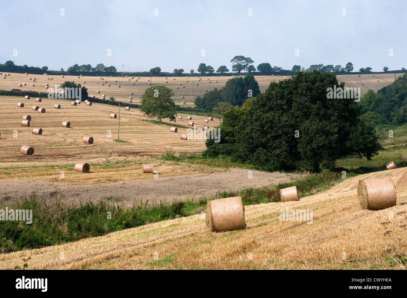 Bales and devon fields hi-res stock photography and images - Alamy