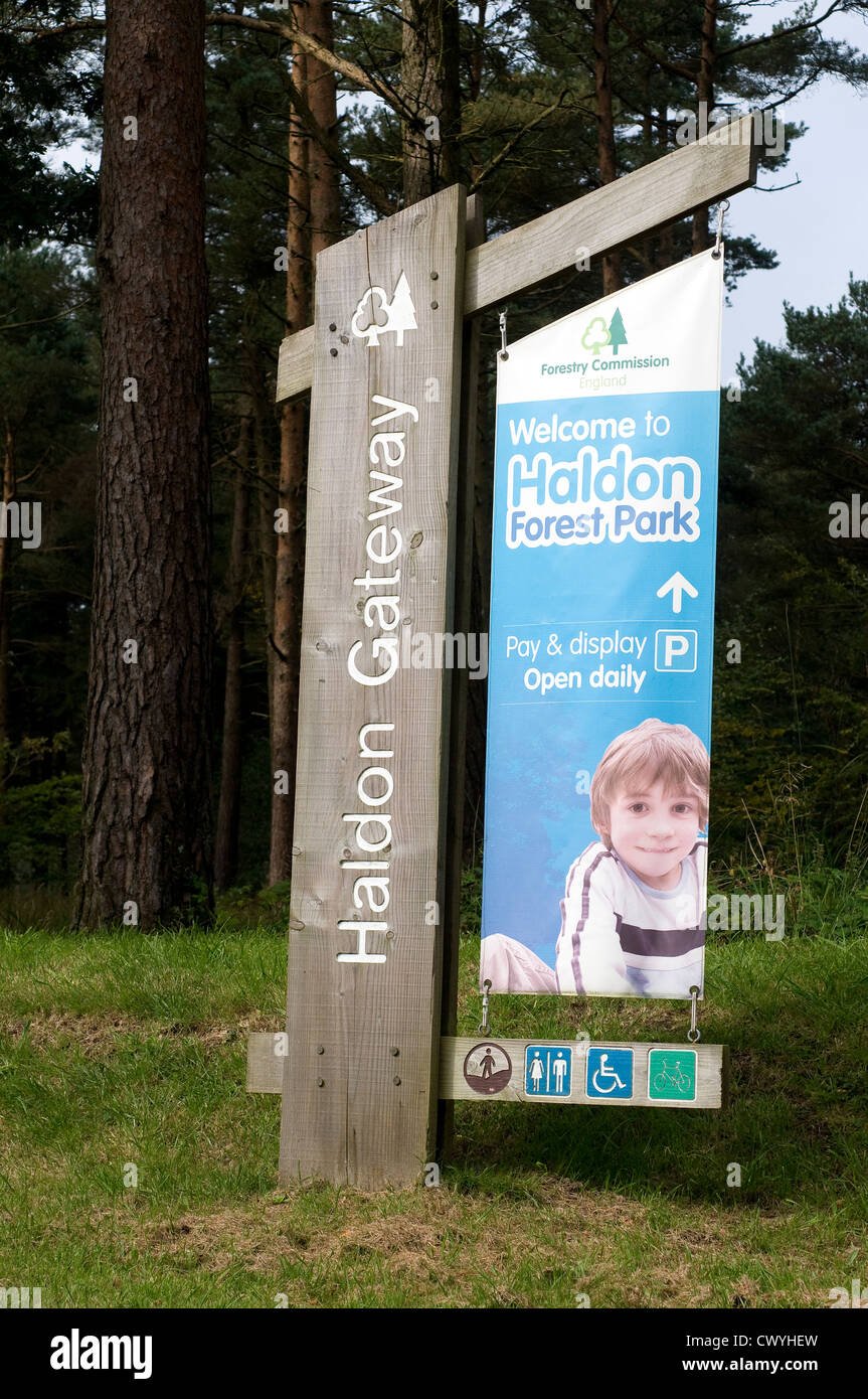 Haldon forest hi-res stock photography and images - Alamy
