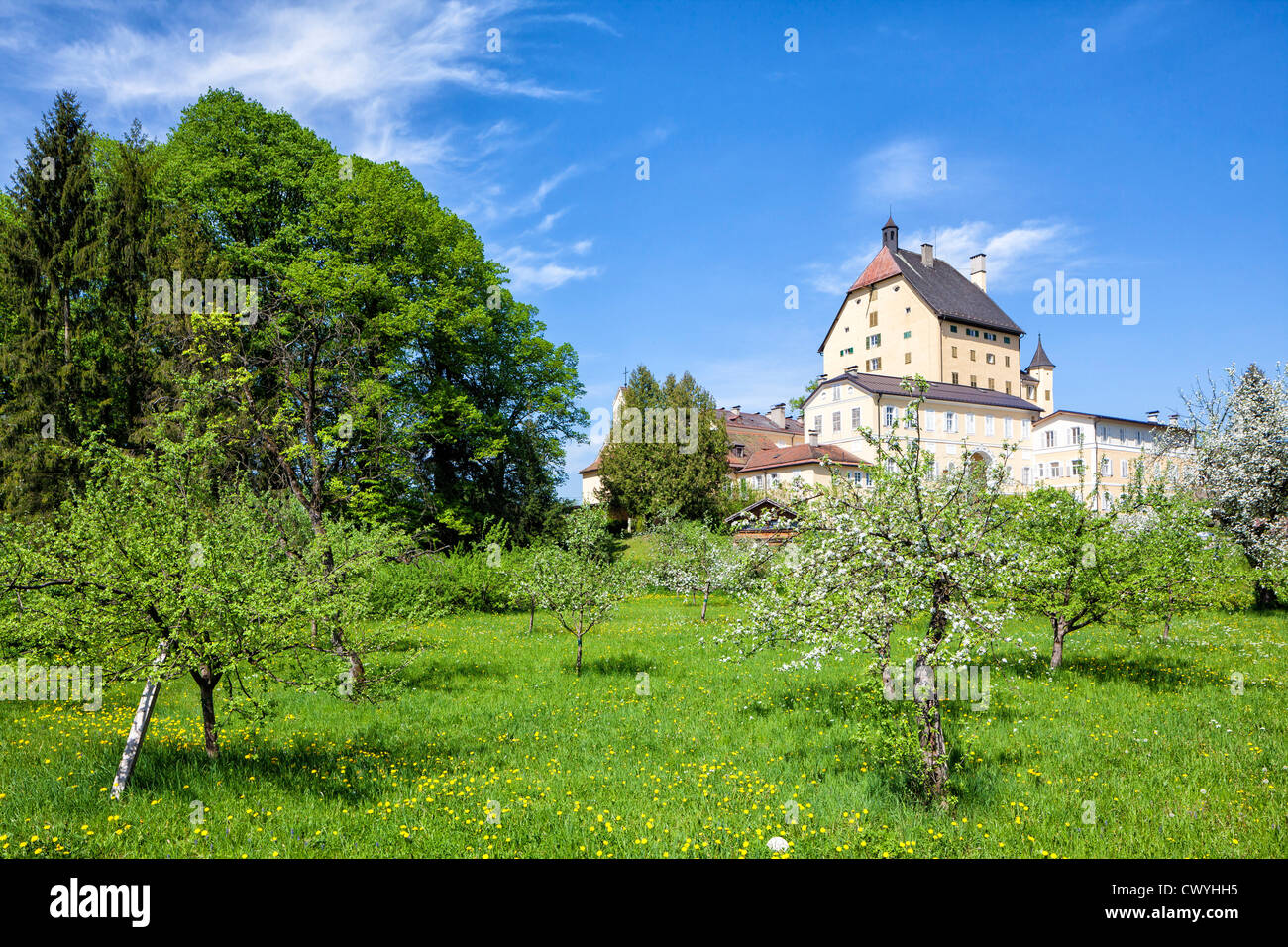 Goldenstein castle hi-res stock photography and images - Alamy