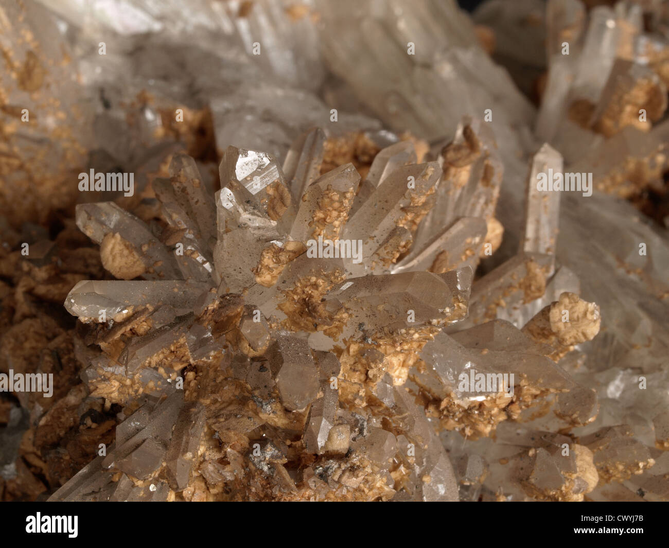 Limonite and quartz Stock Photo - Alamy