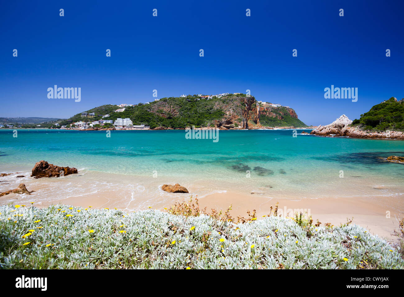 beach of Featherbed nature reserve, Knysna, South Africa Stock Photo ...