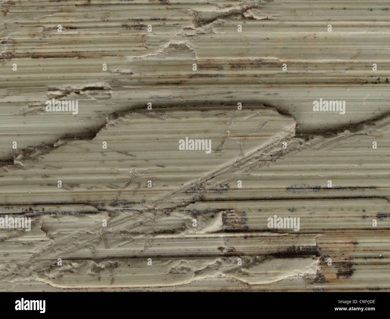 Petrovo selo hi-res stock photography and images - Alamy