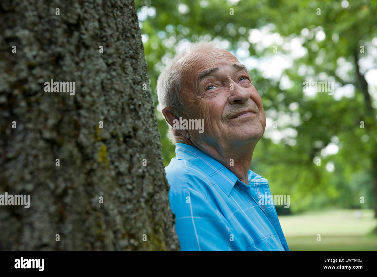 Old man at tree trunk looking up Stock Photo - Alamy