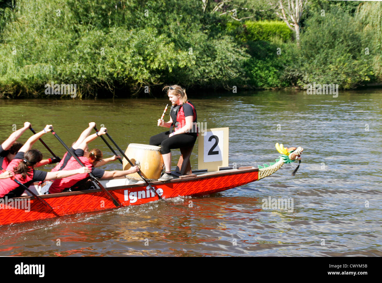 Dragon Boat The Drummer Worcester Dragons River Severn Worcester ...