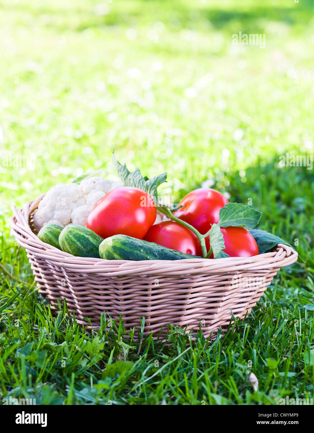 vegetables in basket on a green grass Stock Photo - Alamy