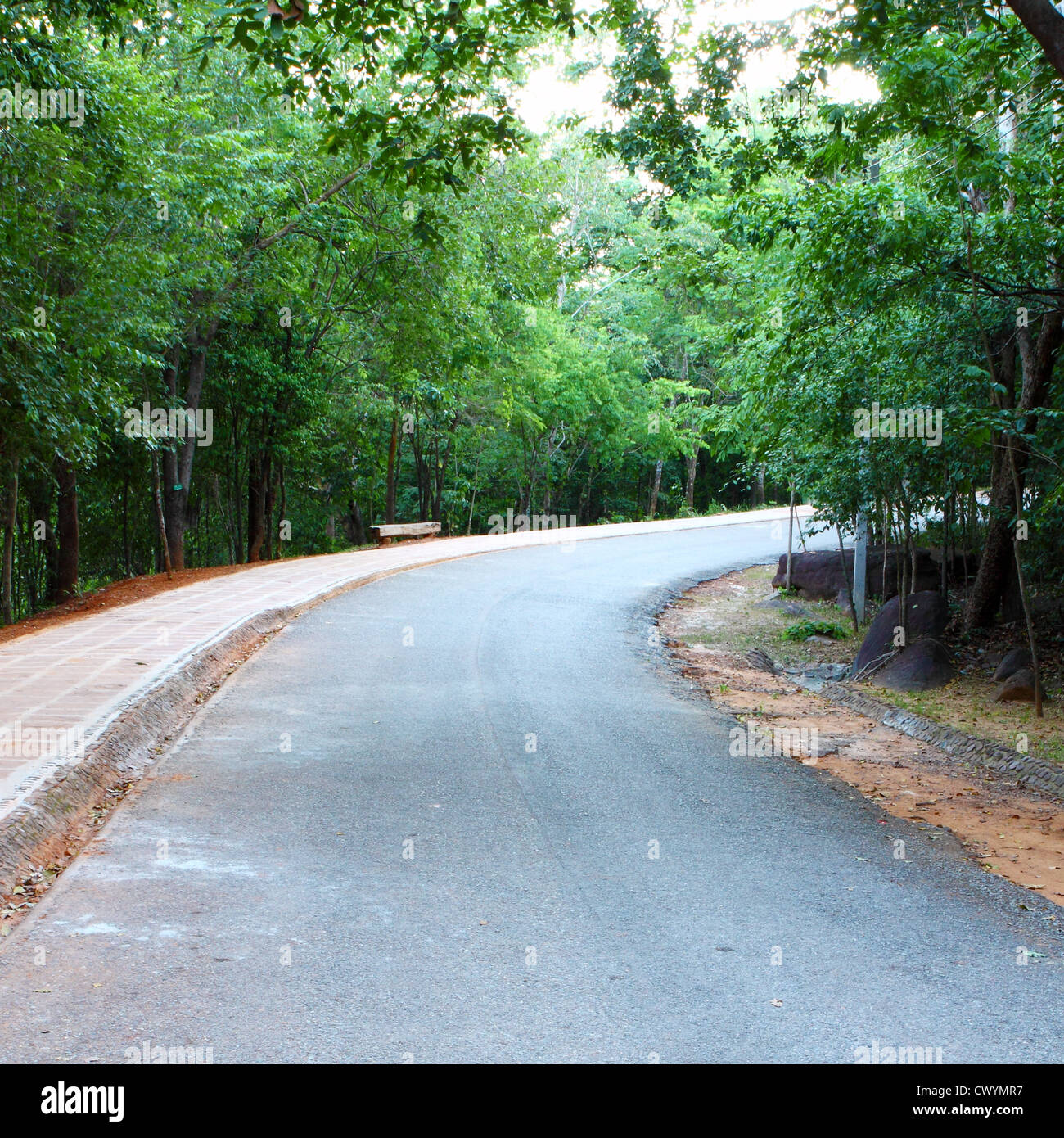 country curved road with trees on both sides Stock Photo - Alamy