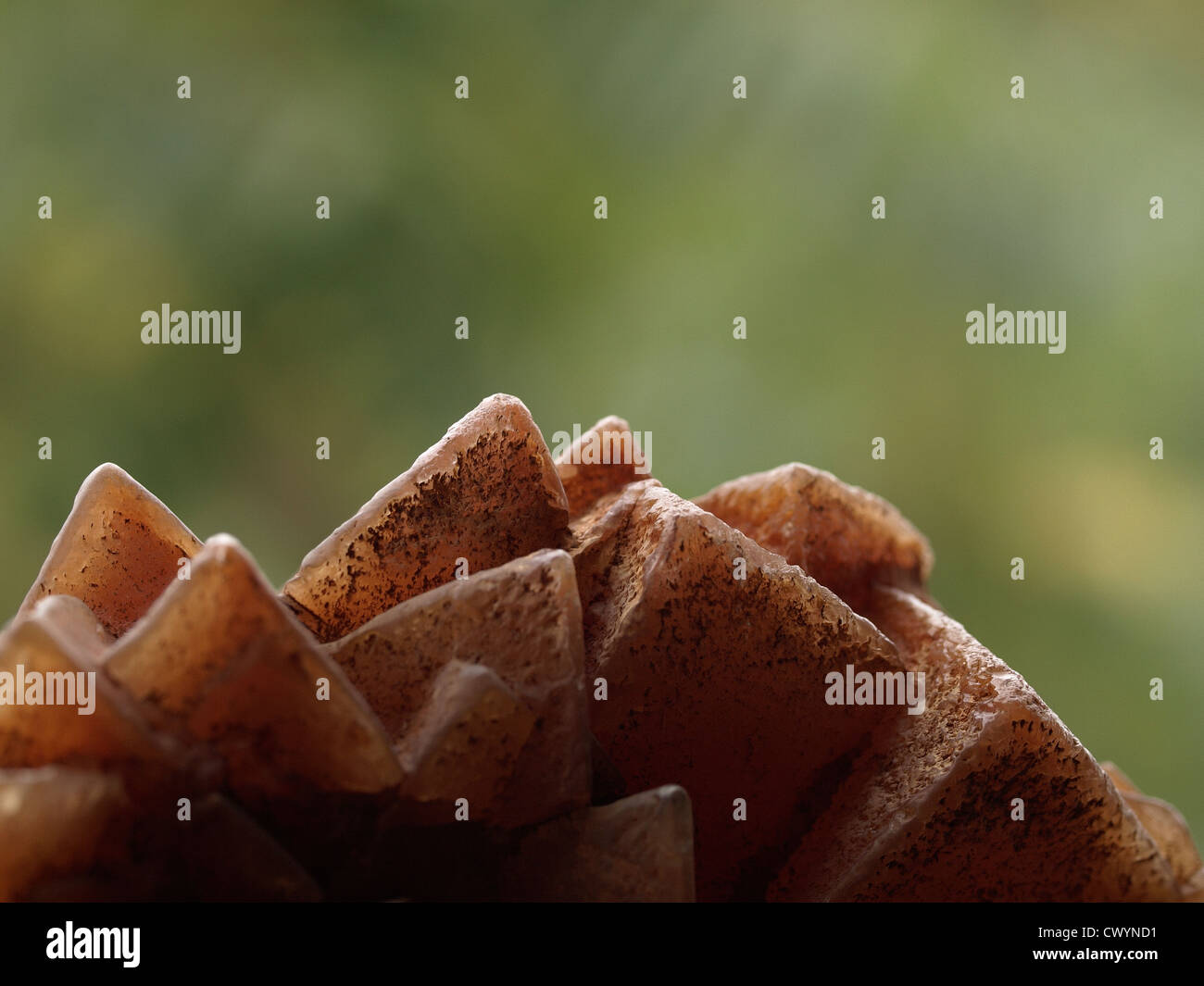 Bribir croatia hi-res stock photography and images - Alamy