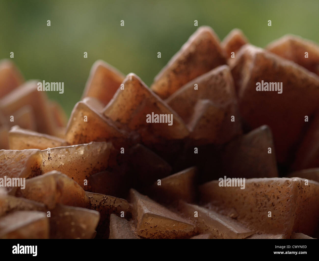 Bribir croatia hi-res stock photography and images - Alamy