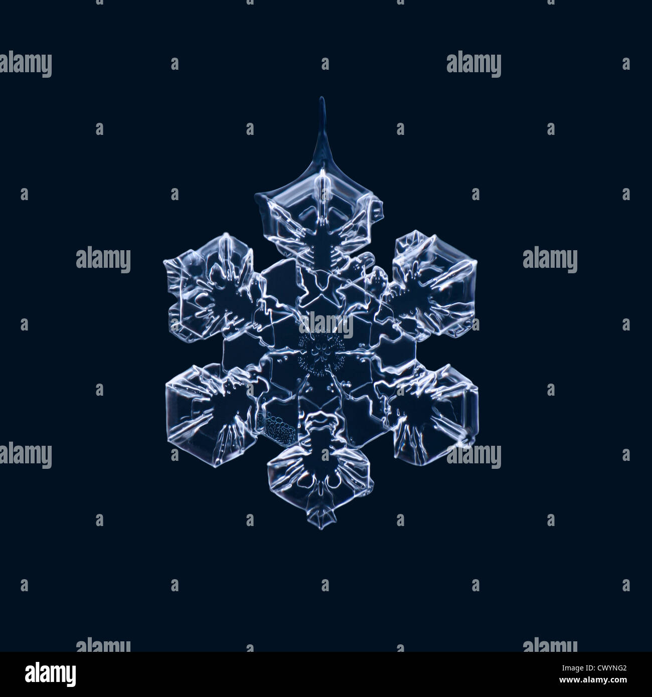 Real snowflake, close-up Stock Photo - Alamy