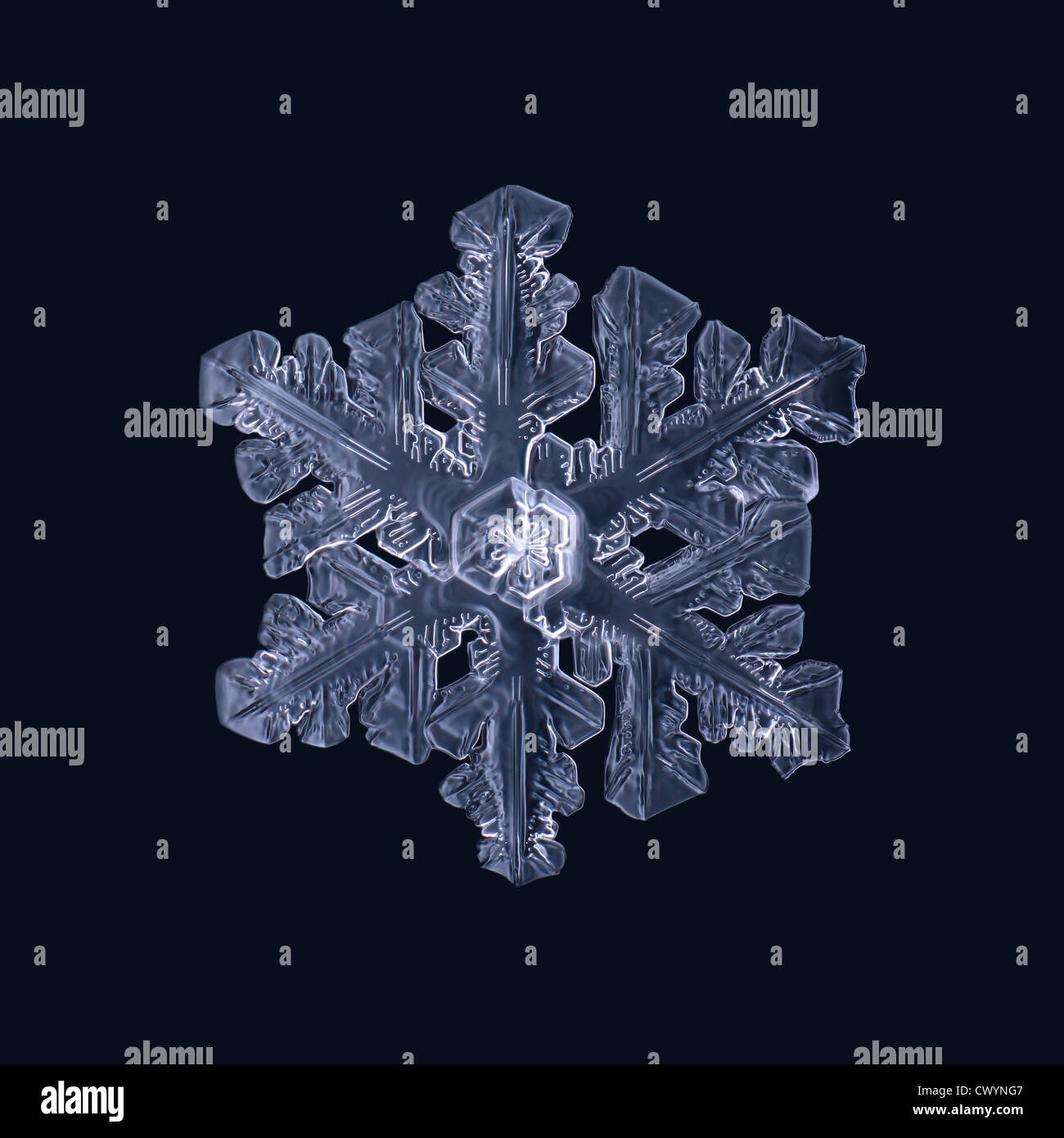 Real snowflake, close-up Stock Photo - Alamy