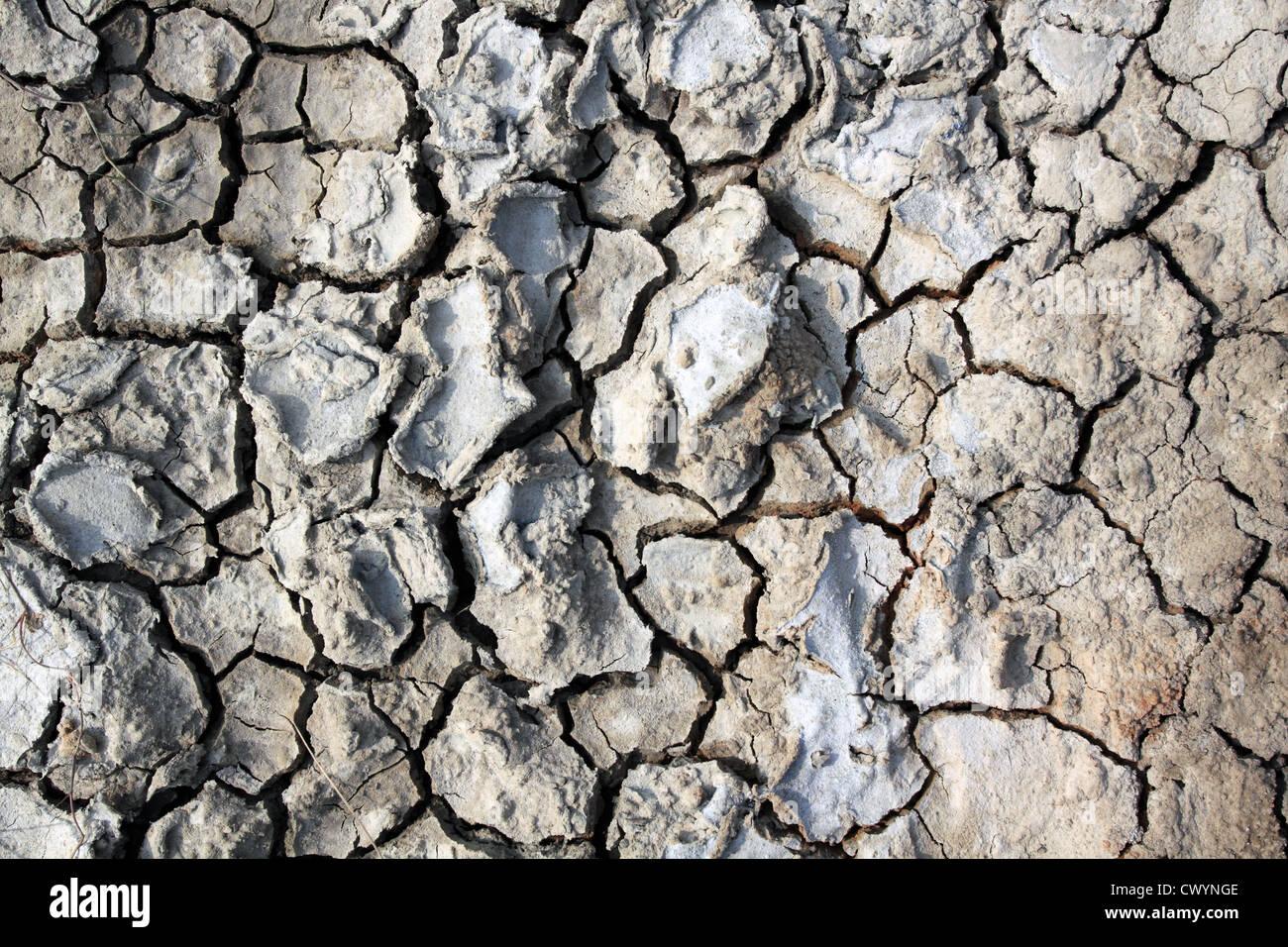 Dry soil with crack Stock Photo - Alamy