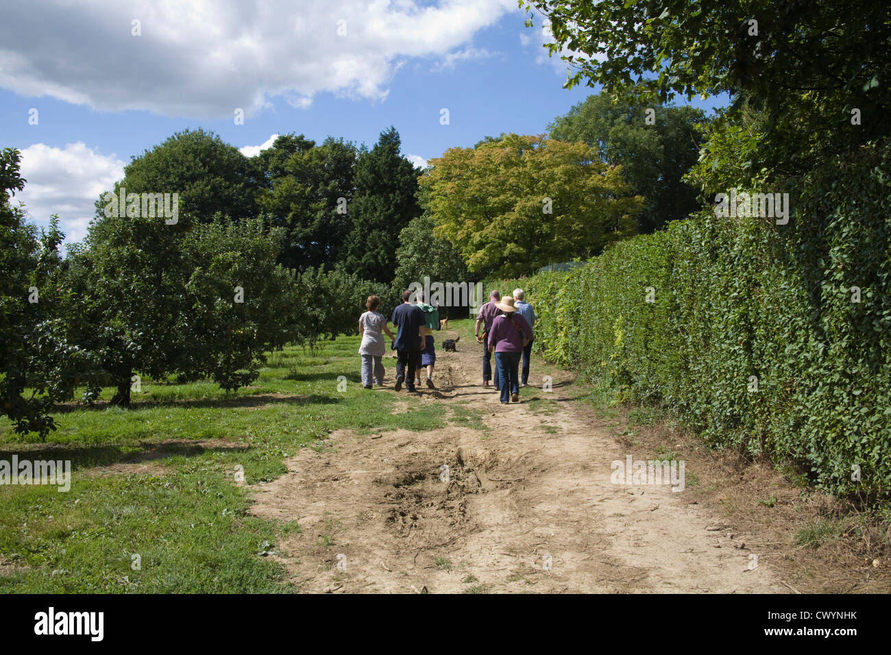 Greensand High Resolution Stock Photography and Images - Alamy