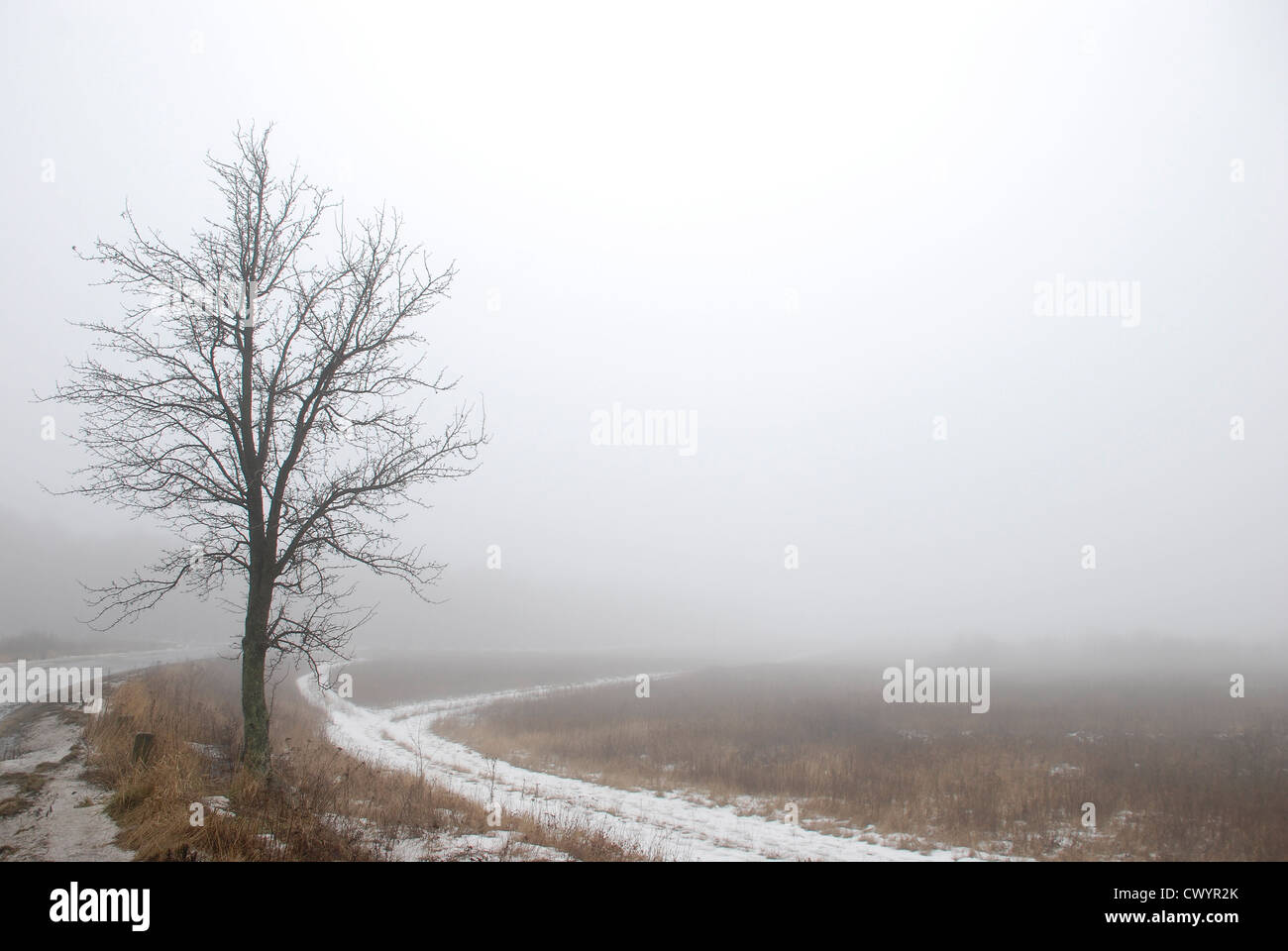 Mist over road hi-res stock photography and images - Alamy