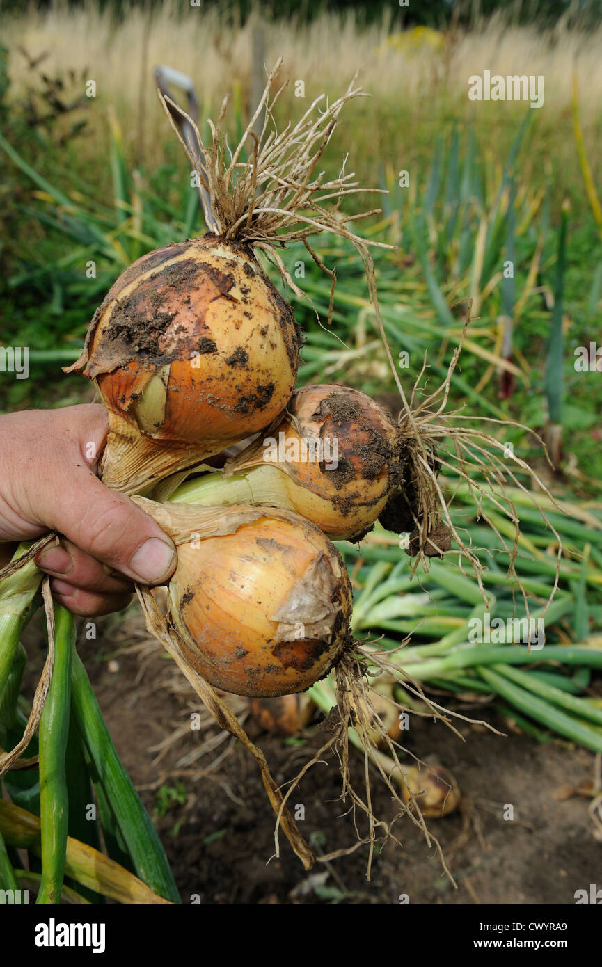Drying ground hi-res stock photography and images - Alamy