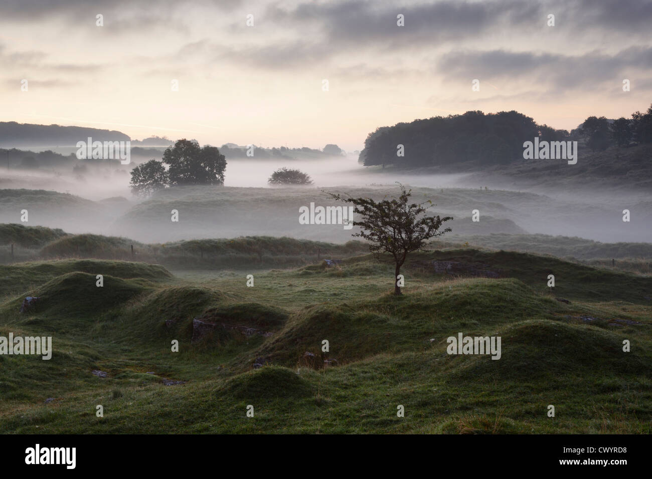 Ubley warren hi-res stock photography and images - Alamy