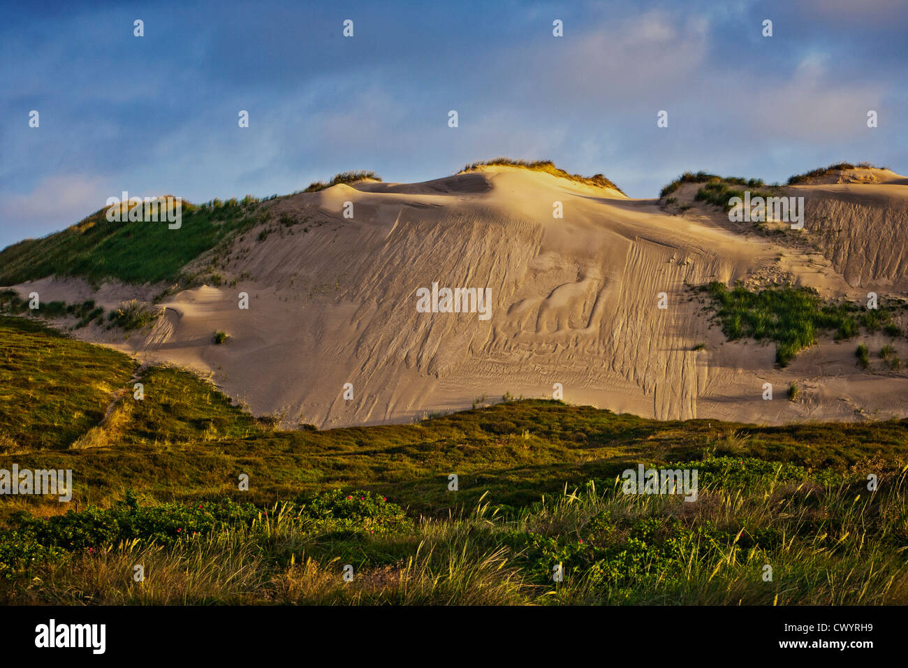 Shifting dune in List, Sylt, Germany Stock Photo - Alamy