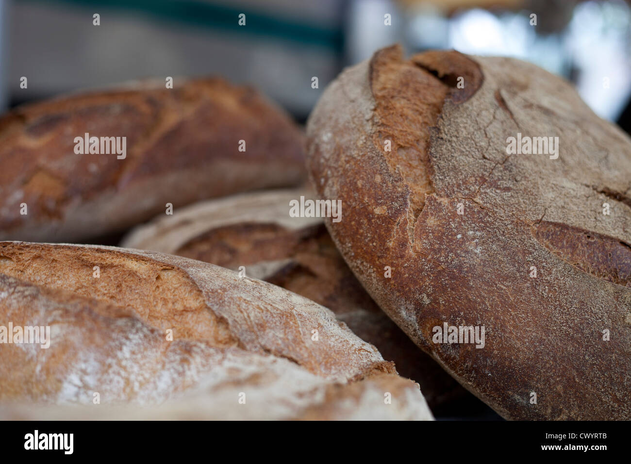 Fresh loaves of artisan bread Stock Photo - Alamy