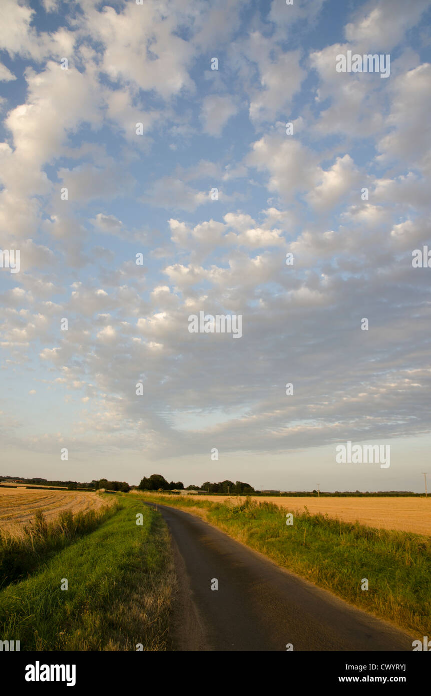 Empty road into distance hi-res stock photography and images - Alamy