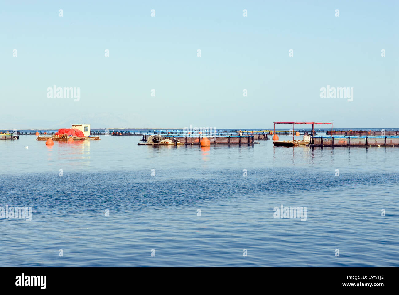 Marine open water sea farm in Oxia, Greece Stock Photo - Alamy