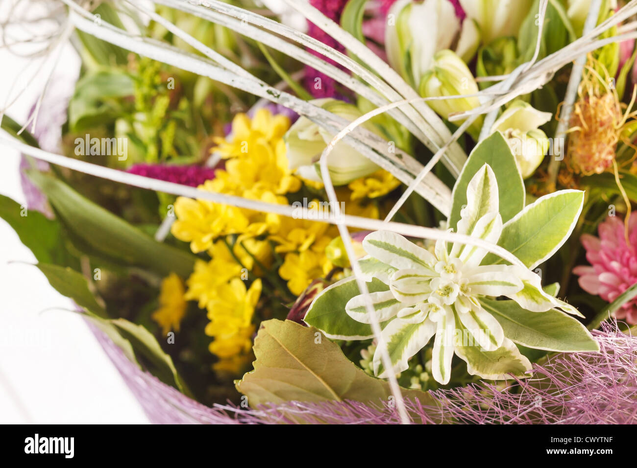 Nice bunch of flowers hi-res stock photography and images - Alamy