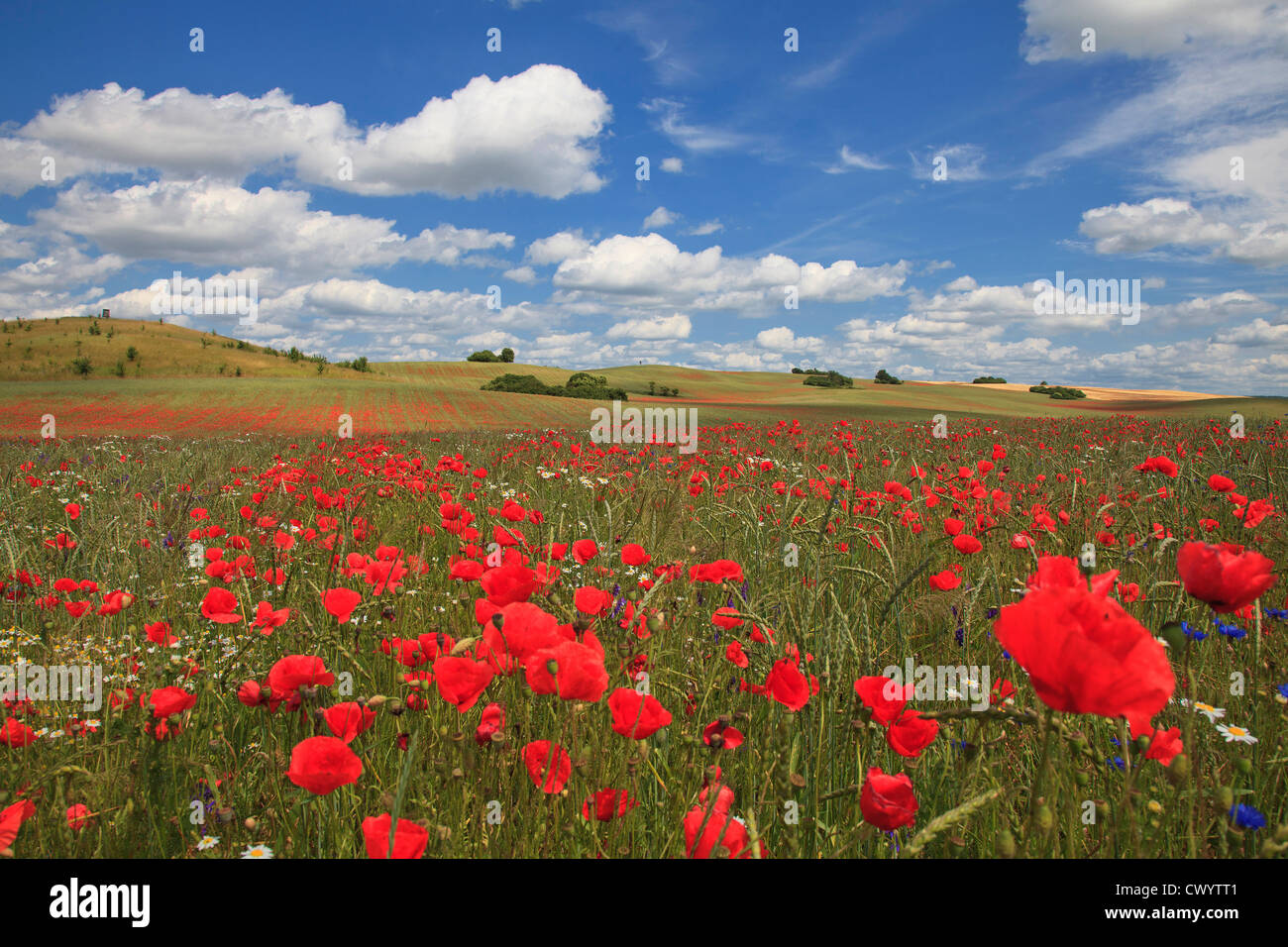 Uckermark germany hi-res stock photography and images - Alamy