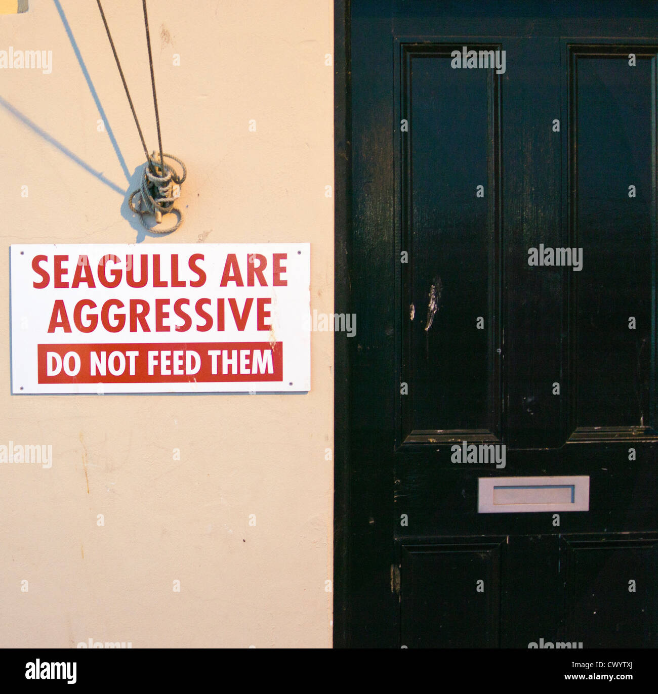 Seagulls are aggressive warning sign Stock Photo - Alamy