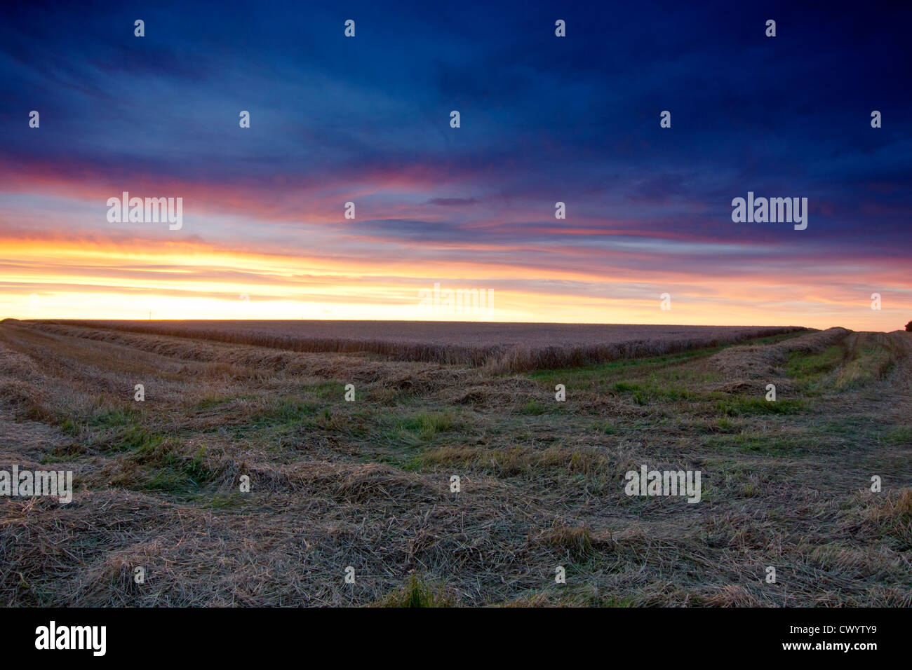 Scene moors hi-res stock photography and images - Alamy