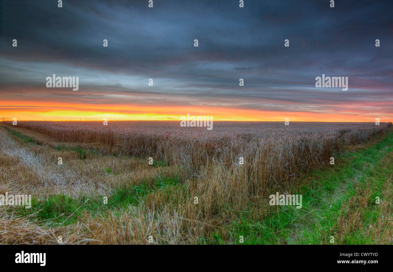 Yorkshire moors landscape scene hi-res stock photography and images - Alamy