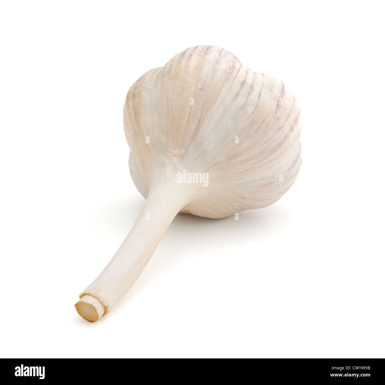 Garlic isolated on white background Stock Photo - Alamy