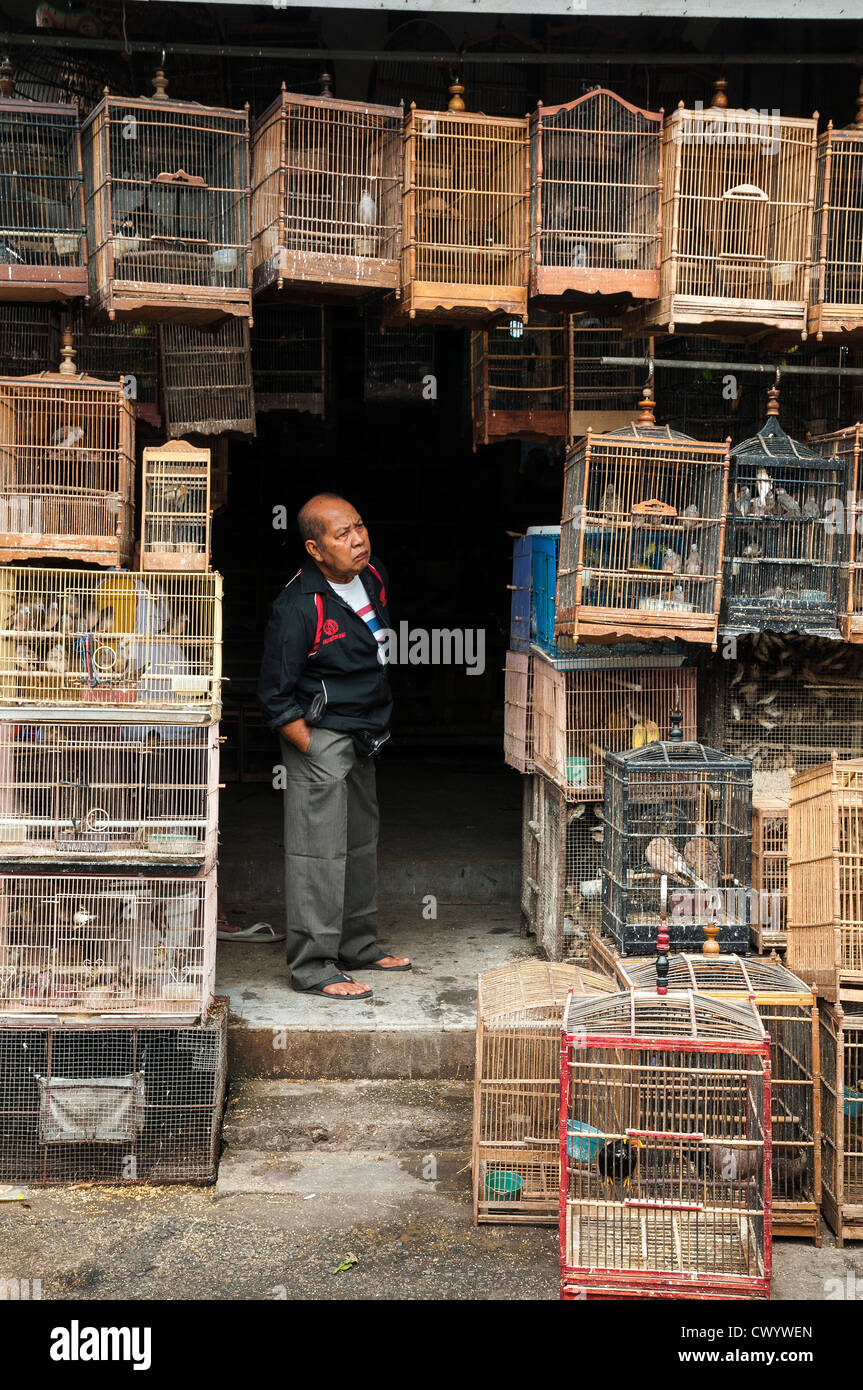 Animal cages hi-res stock photography and images - Alamy