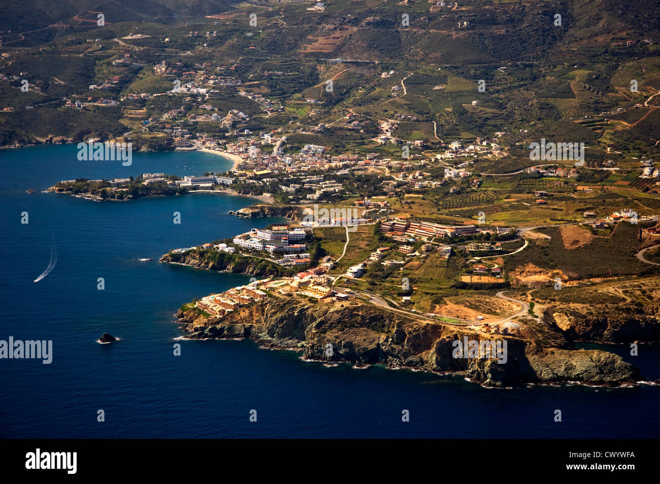 Birds crete hi-res stock photography and images - Alamy