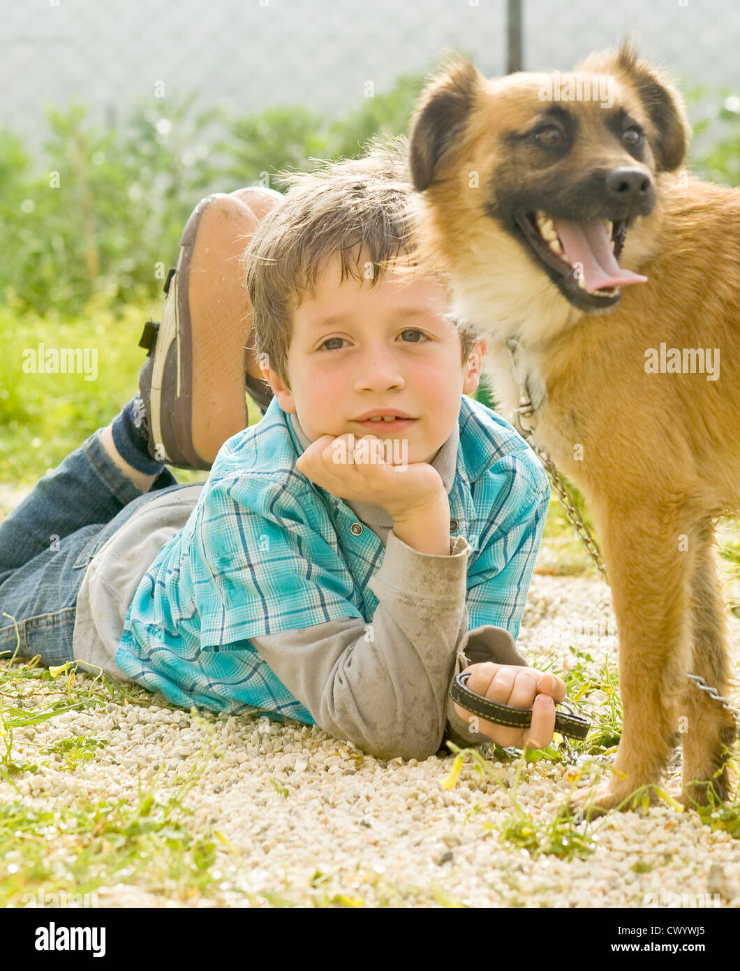 Boy with dog, portrait Stock Photo - Alamy