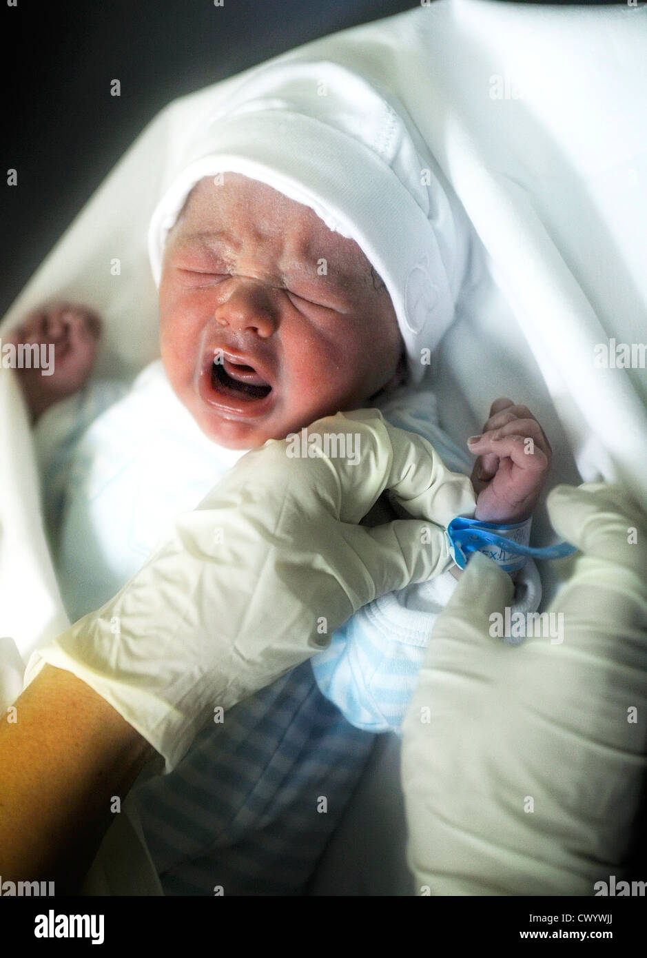 Newborn male baby crying Stock Photo - Alamy