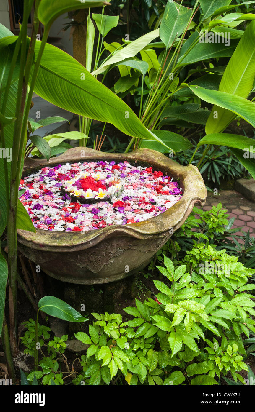 Bali gardens hi-res stock photography and images - Alamy