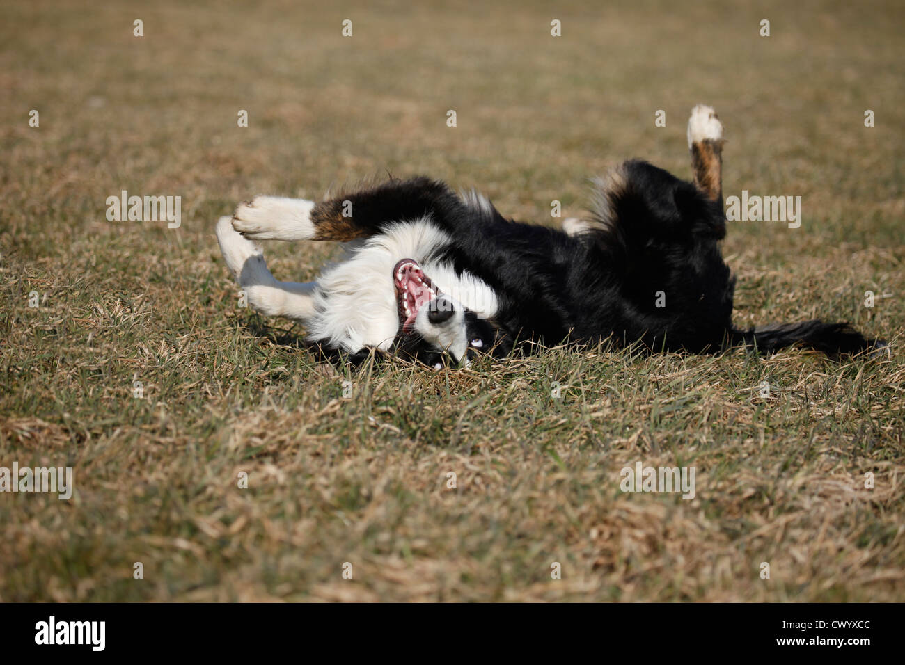 Half lying position hi-res stock photography and images - Alamy