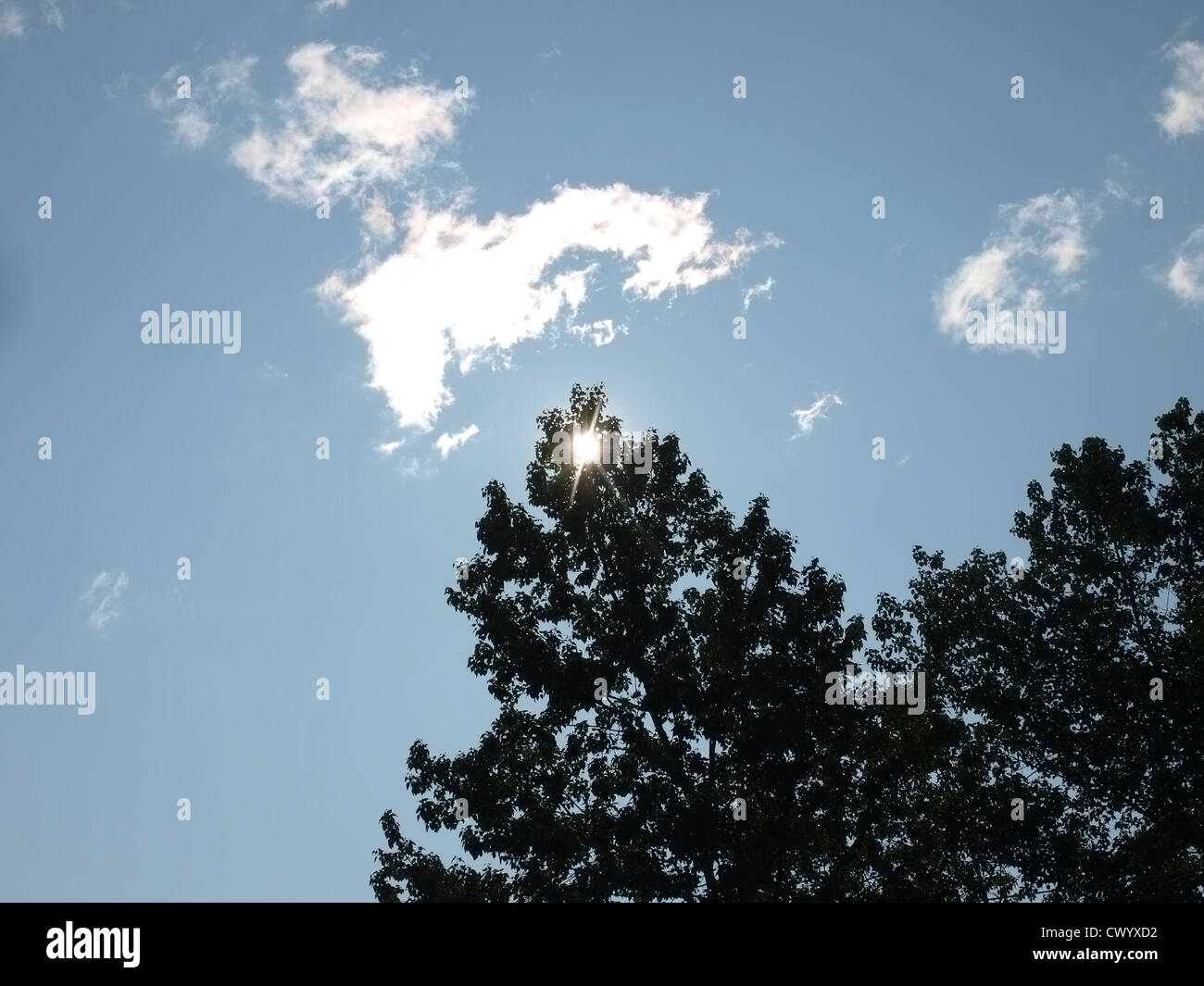 Sunny Sky on a Thursday Afternoon Stock Photo - Alamy