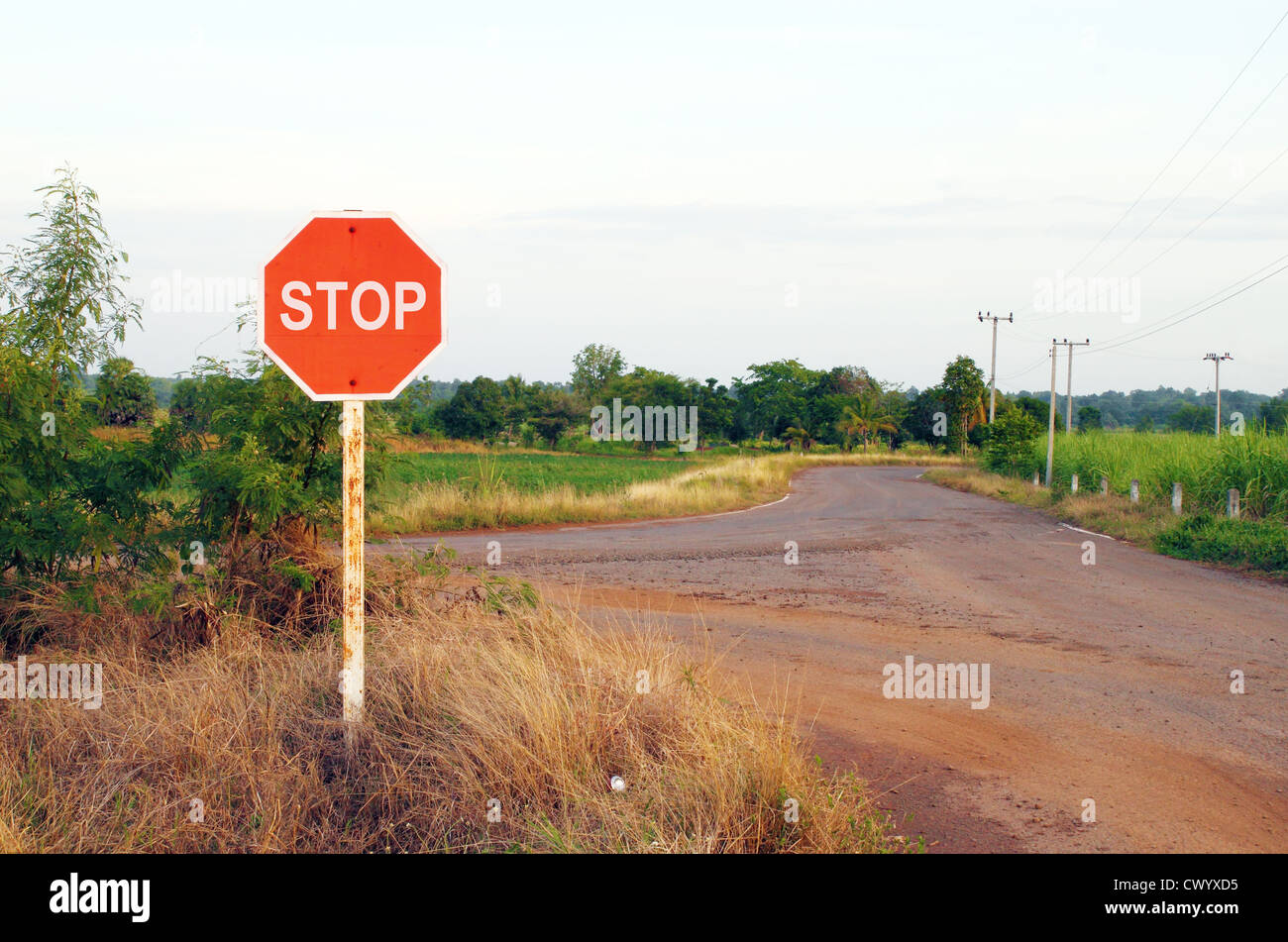 stop sign in a country road Stock Photo - Alamy