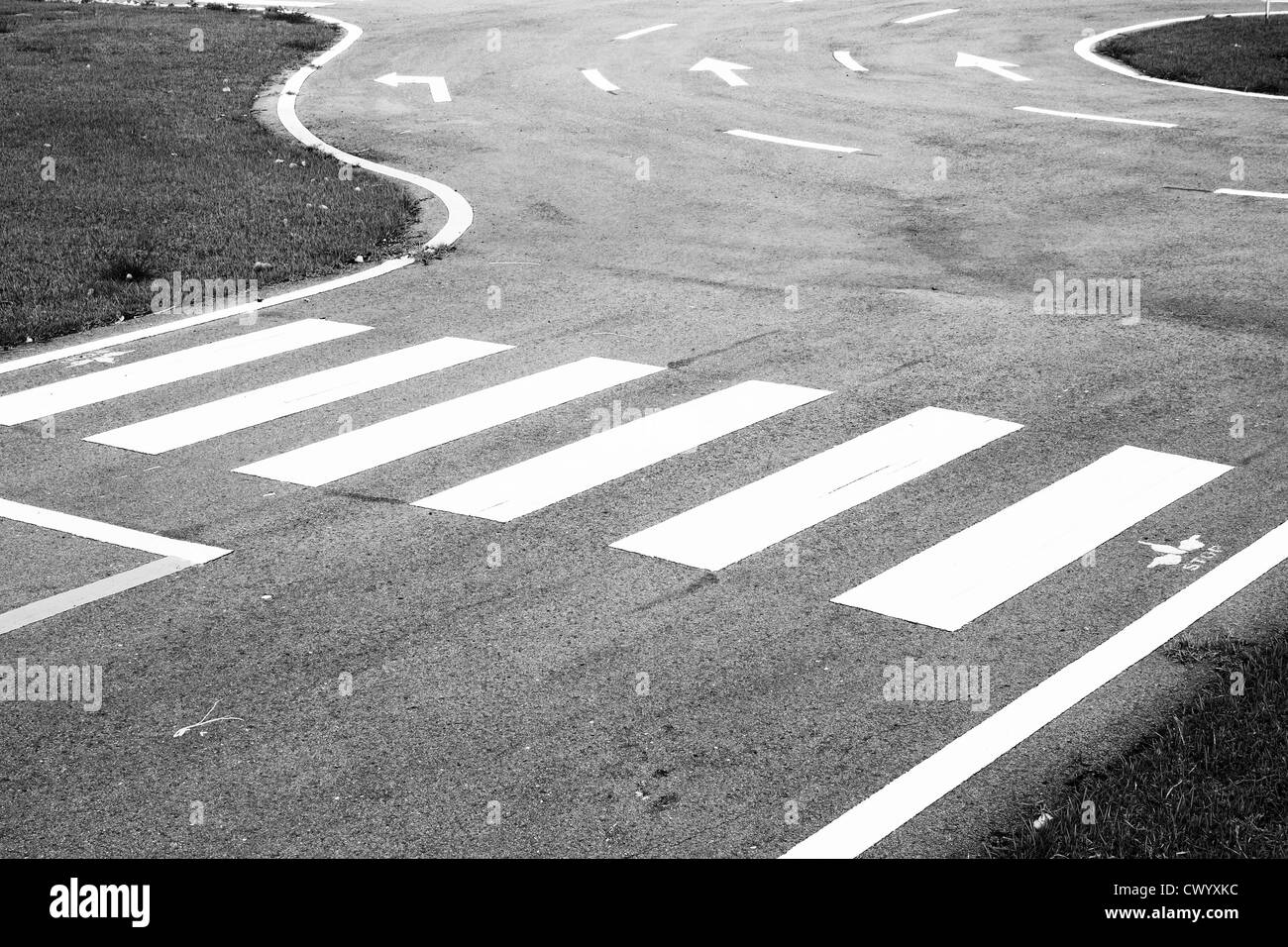 zebra way on the asphalt road surface in black and white Stock Photo ...