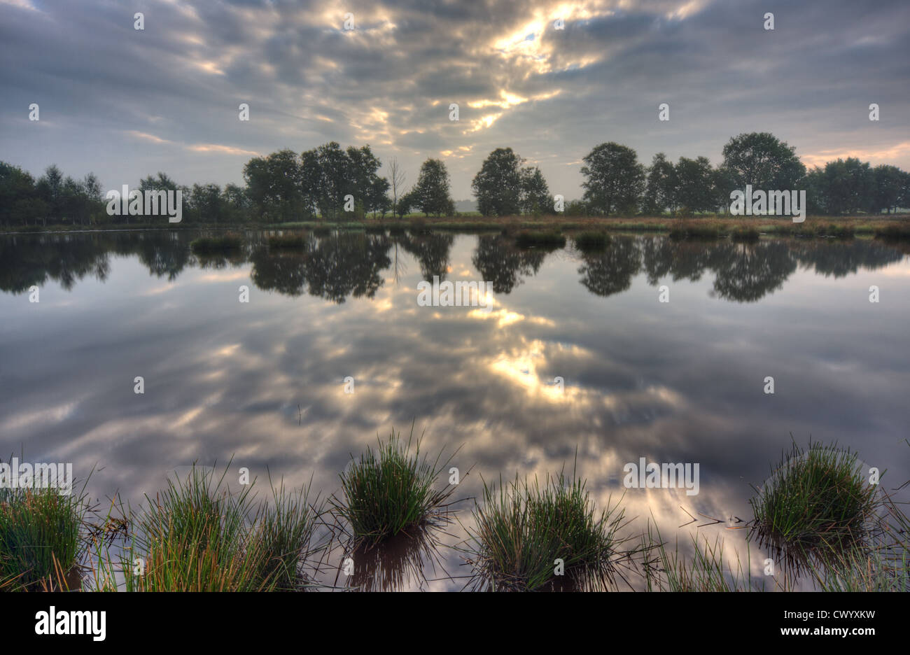 Silhouette trees in lake hi-res stock photography and images - Alamy