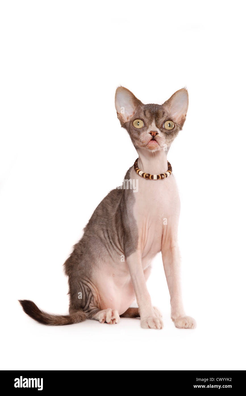 Devon view Cut Out Stock Images & Pictures - Alamy