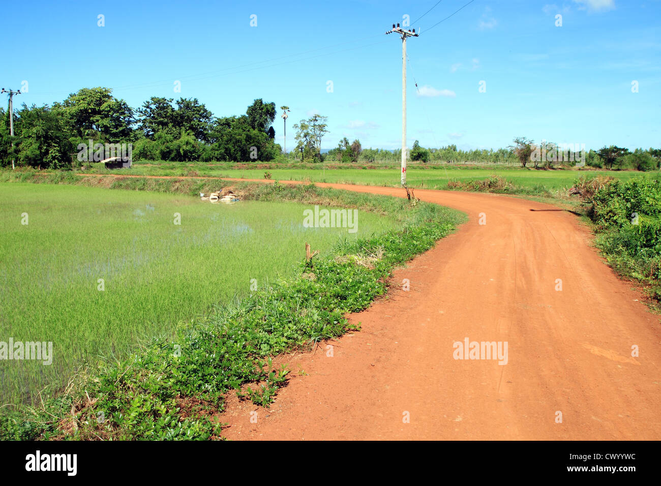 Soil road in countryside with blue sky Stock Photo - Alamy