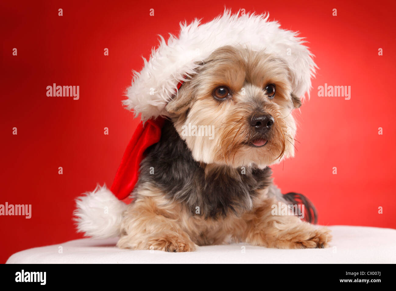 Santa hat hi-res stock photography and images - Alamy
