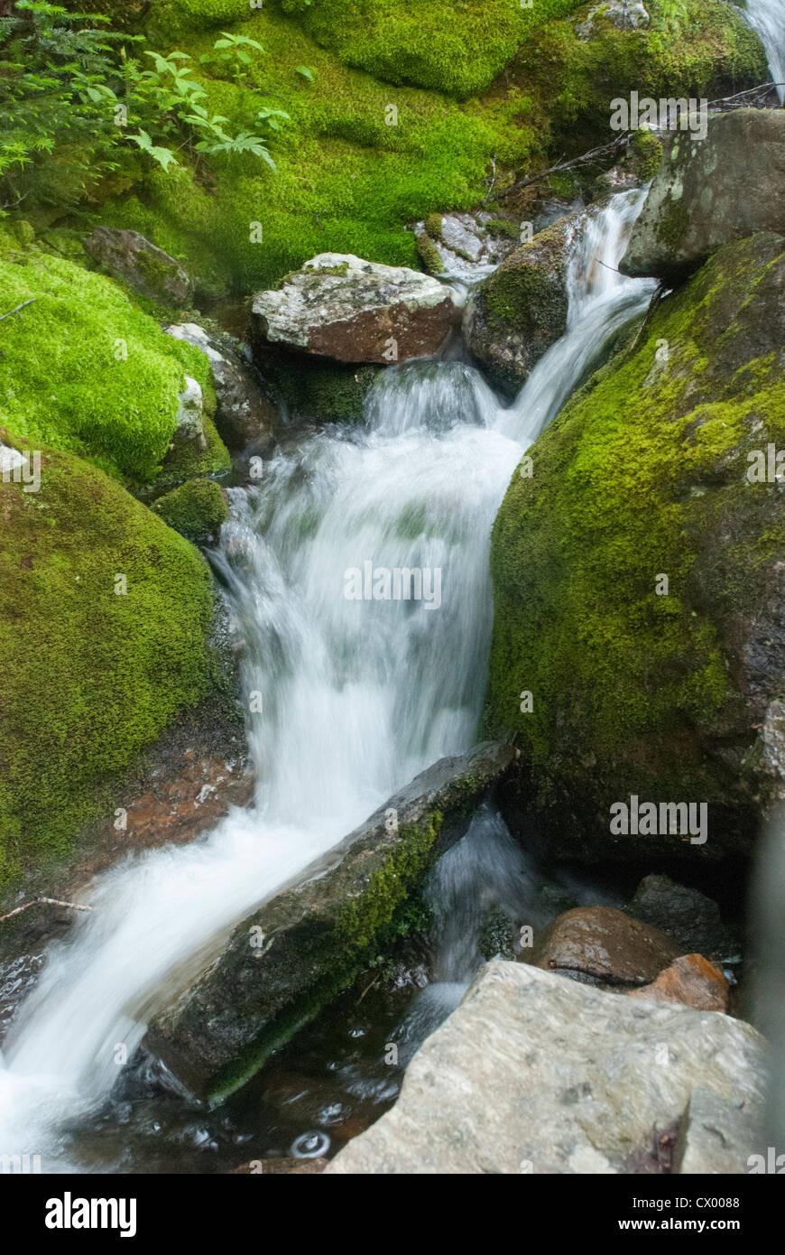 Little waterfalls in mountain hi-res stock photography and images - Alamy